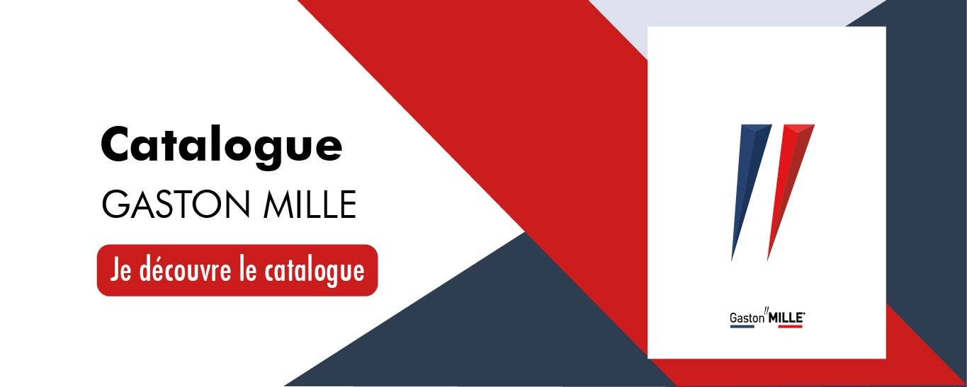 Catalogue GASTON MILLE - Master PRO - SECUROM - F.I. Services